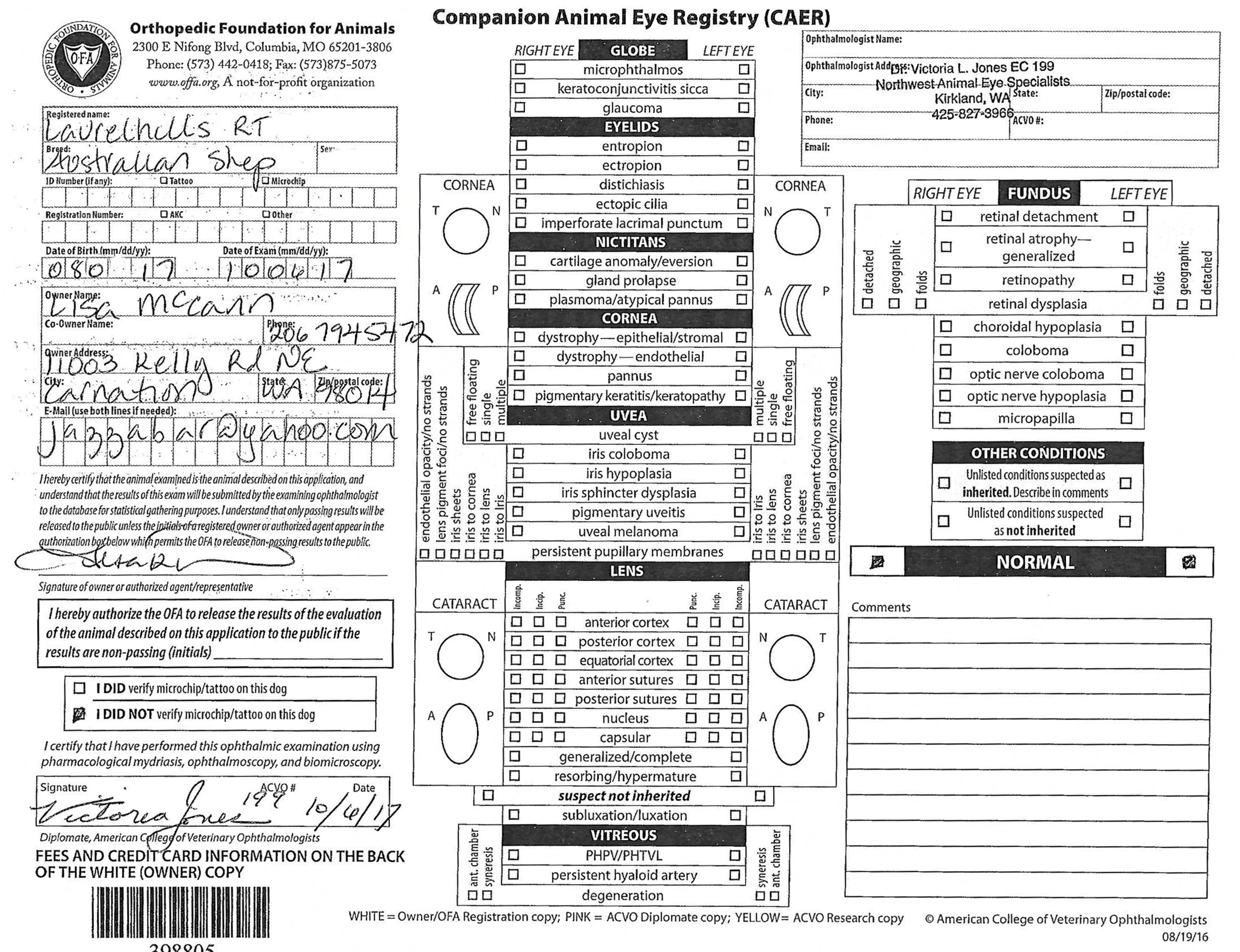Laurelhills Australian Shepherds