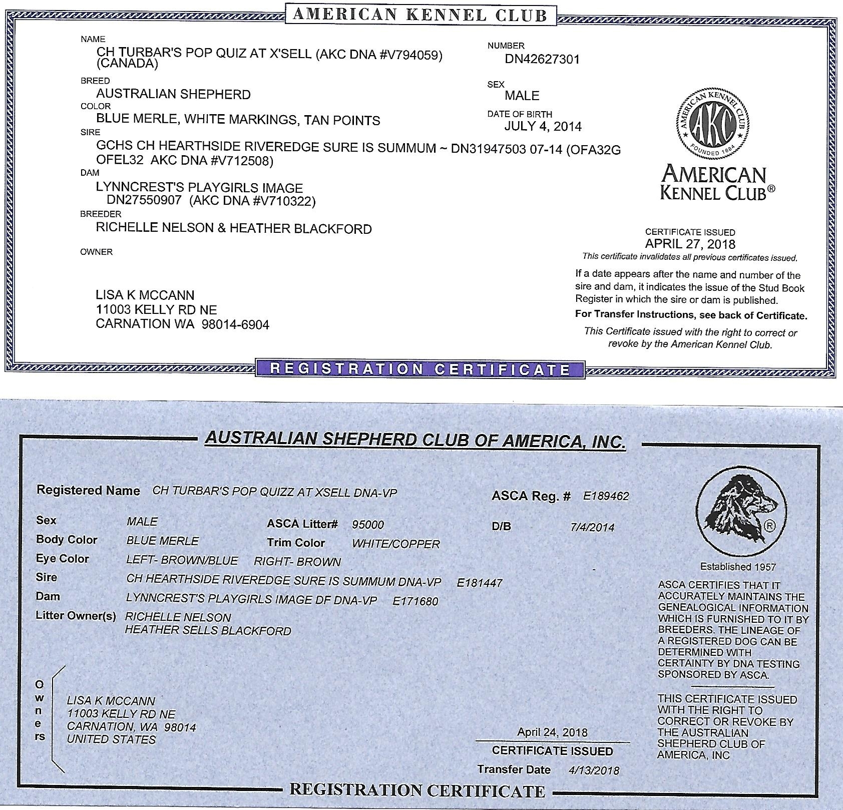 Laurelhills Australian Shepherds